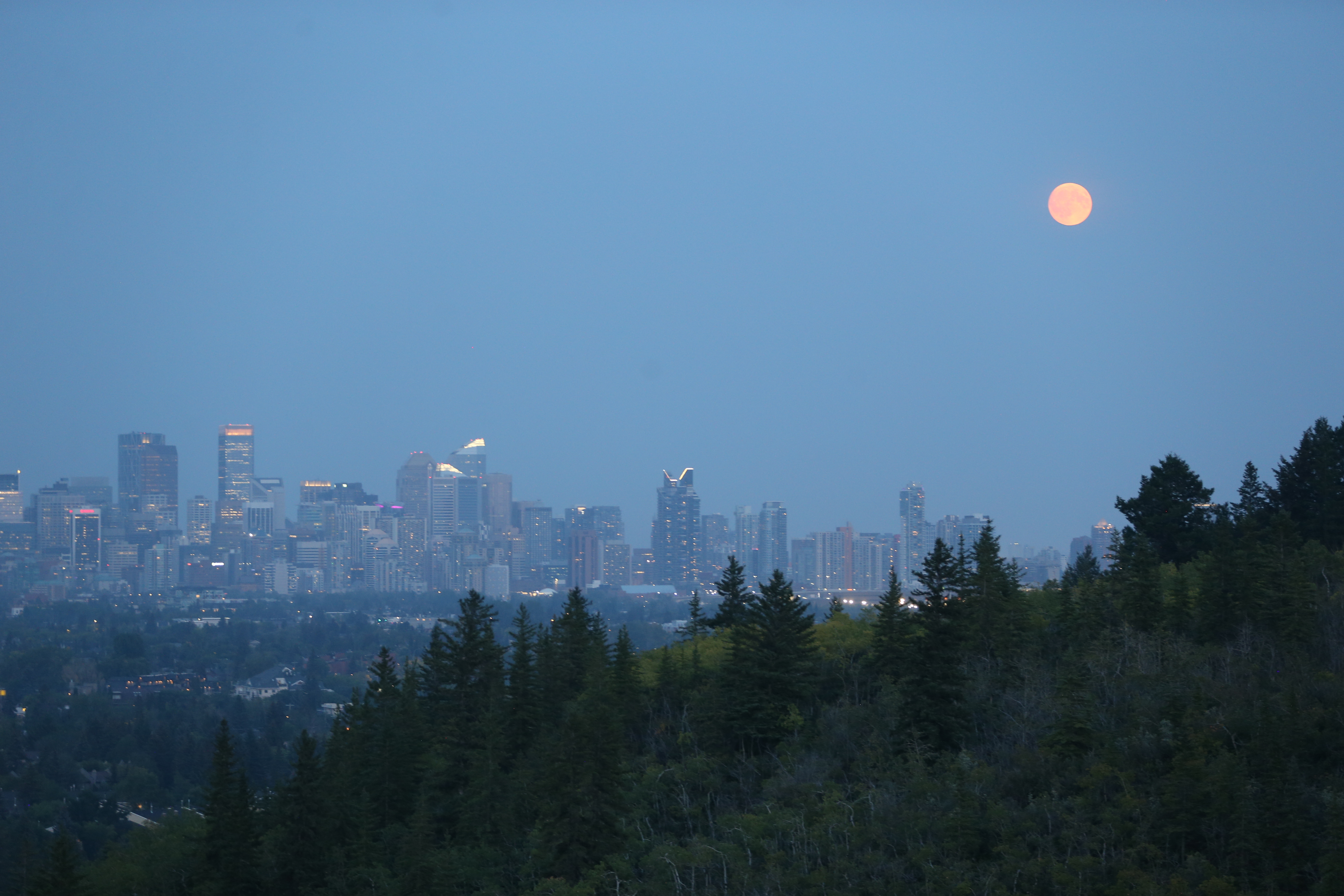 Look up: Blood Moon set for tomorrow morning - DiscoverAirdrie.com ...