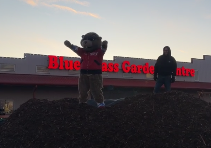Balzac Billy delivers his Groundhog Day verdict - OkotoksOnline.com ...
