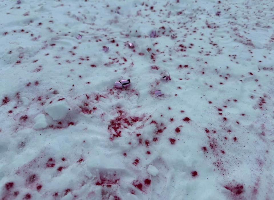 Gender reveal leaves confetti mess at Lake Louise - CochraneNow ...