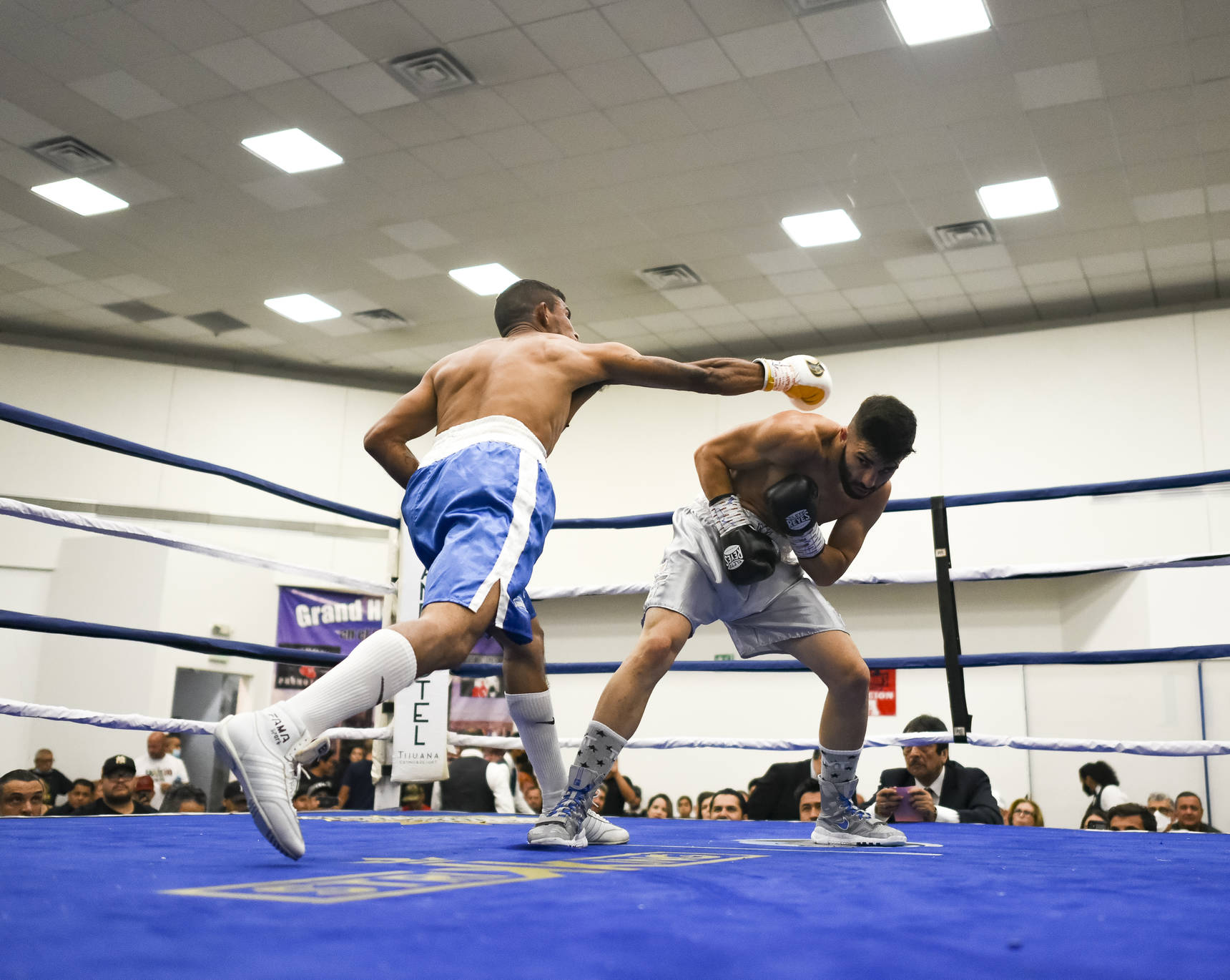 Cochrane to make history with first-ever pro/am boxing card ...
