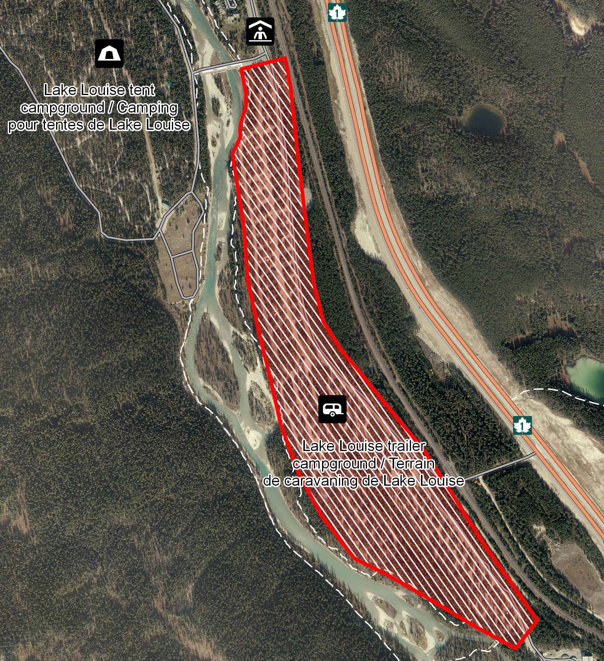 Annual tent restriction returns to Lake Louise campground during bear ...
