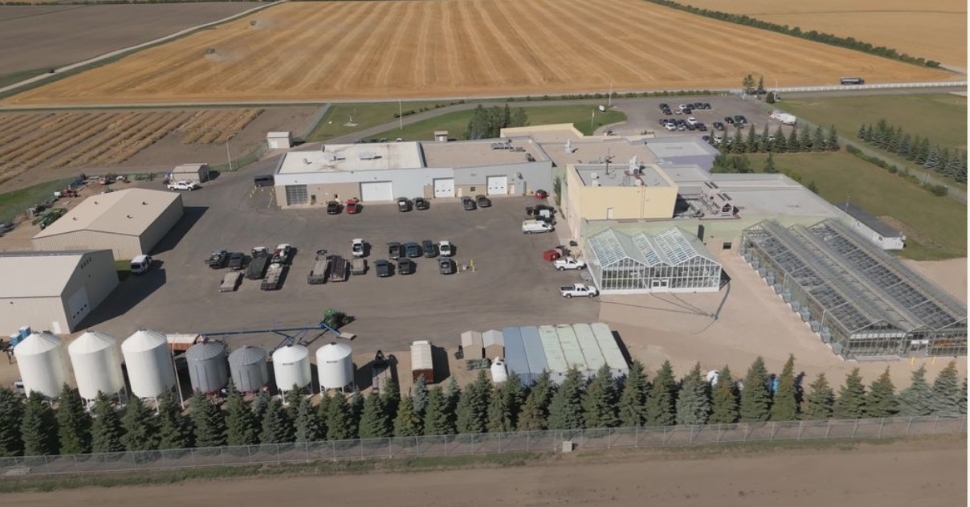BASF investing $27 million to expand canola breeding centre in ...