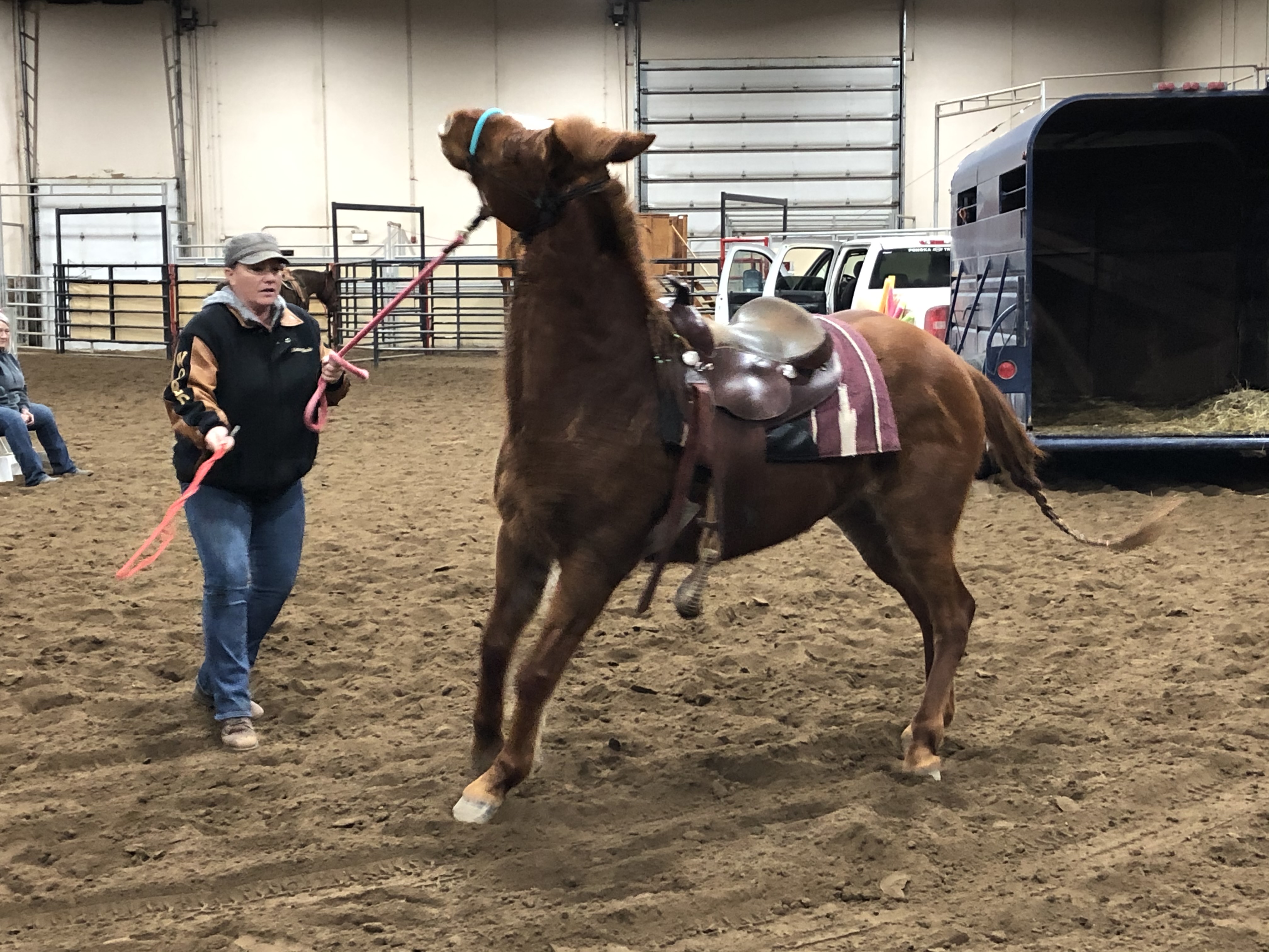 Ponoka 4-H club marks 40 years with fundraiser for youth clinic ...
