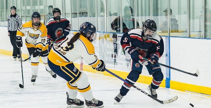 Ice Hawks set for clash with Prairie Blaze in SJFHL semifinals ...