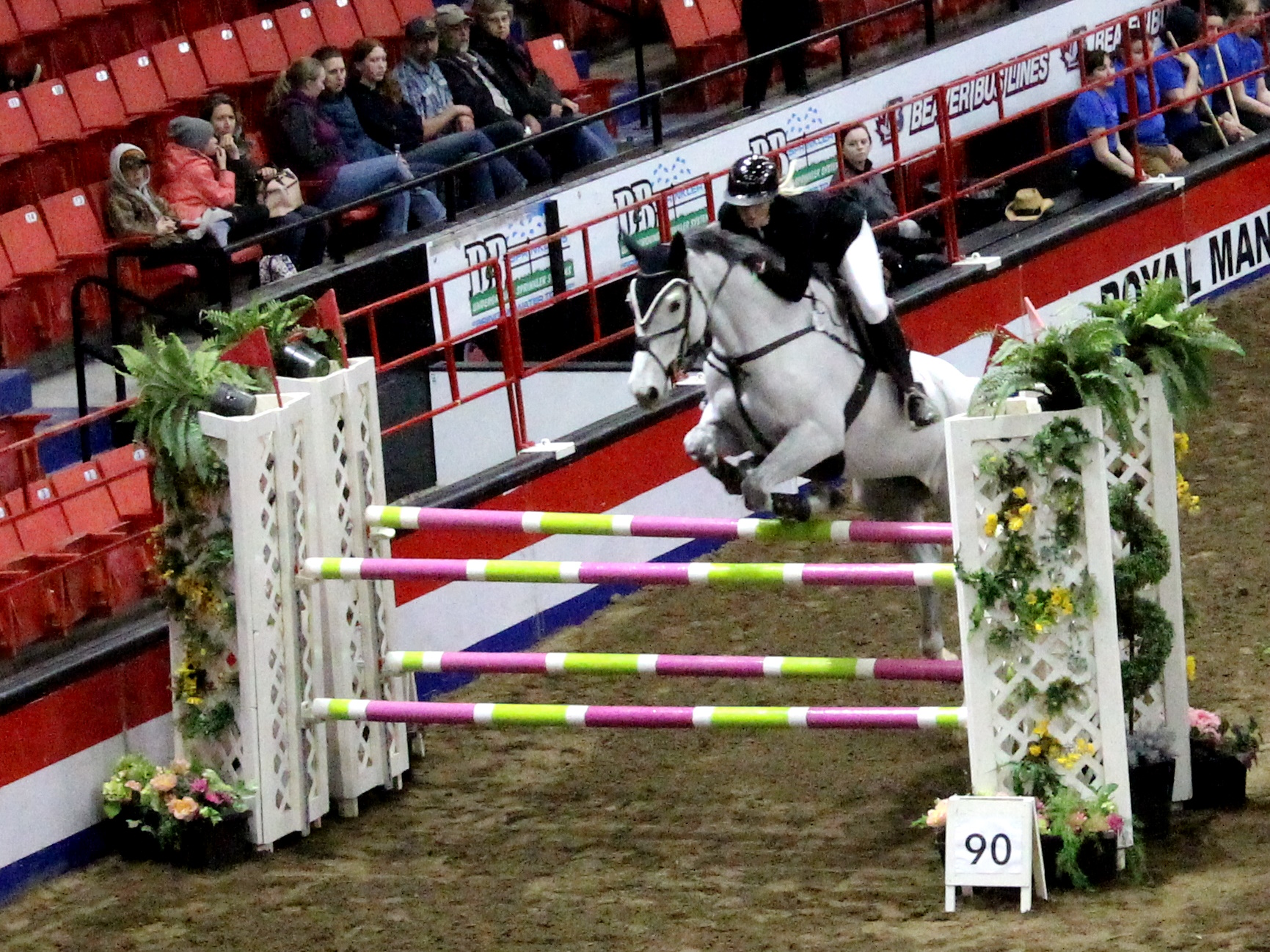 Spring Break Starts at the Fair: Royal Manitoba Winter Fair returns to ...