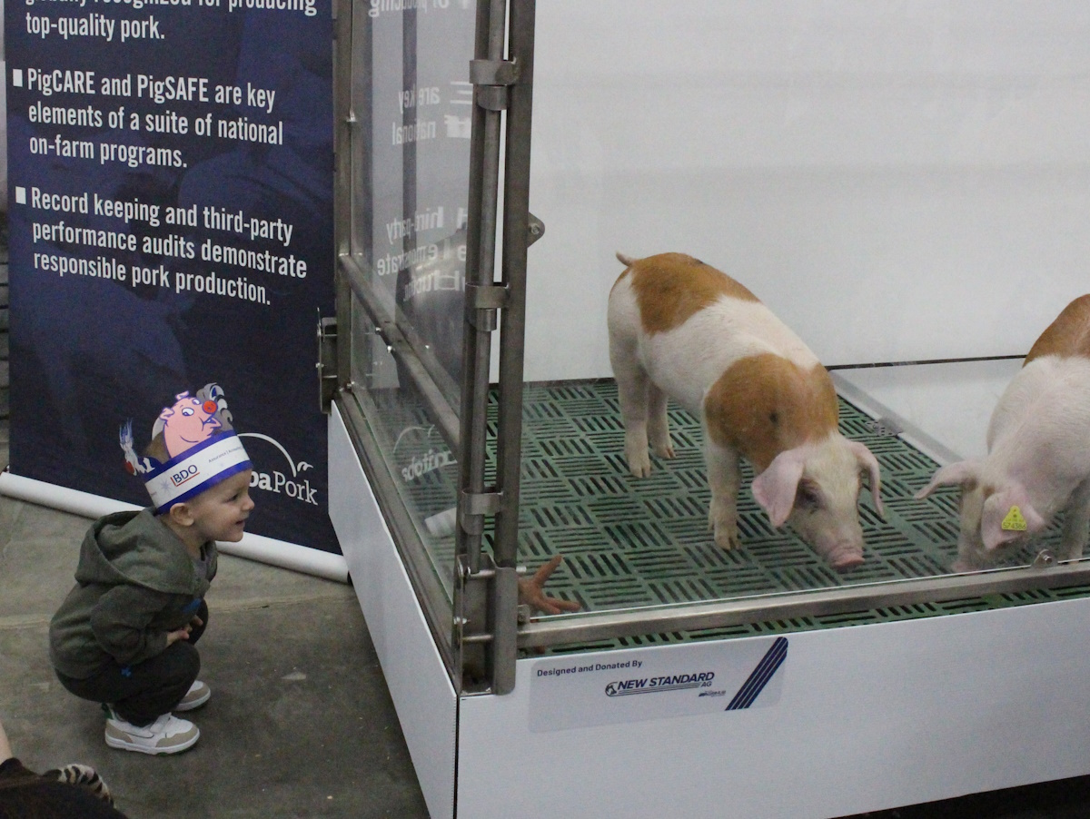Spring Break Starts at the Fair: Royal Manitoba Winter Fair returns to ...