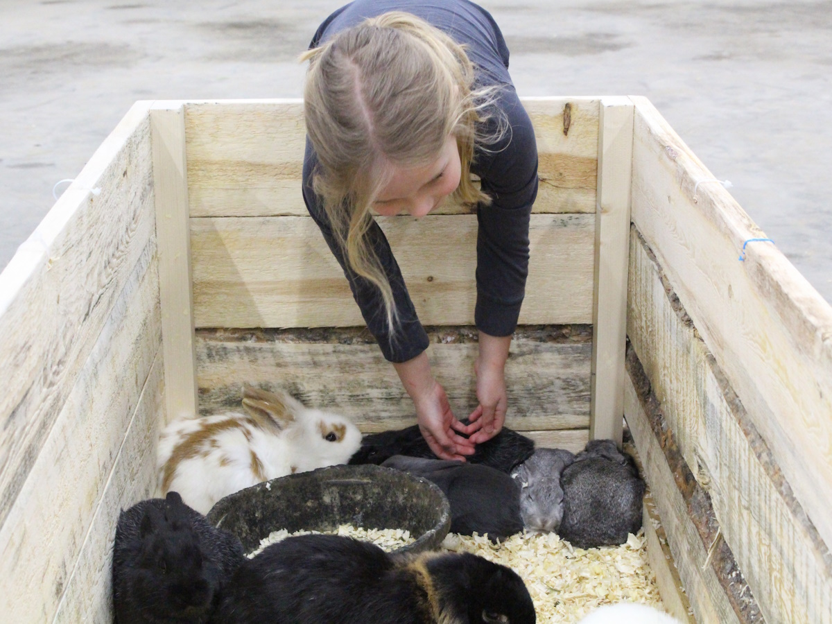 Spring Break Starts at the Fair: Royal Manitoba Winter Fair returns to ...