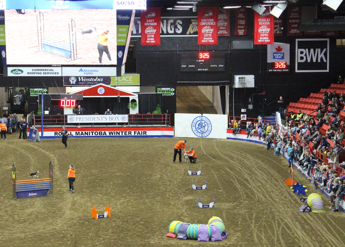 Spring Break Starts at the Fair: Royal Manitoba Winter Fair returns to ...