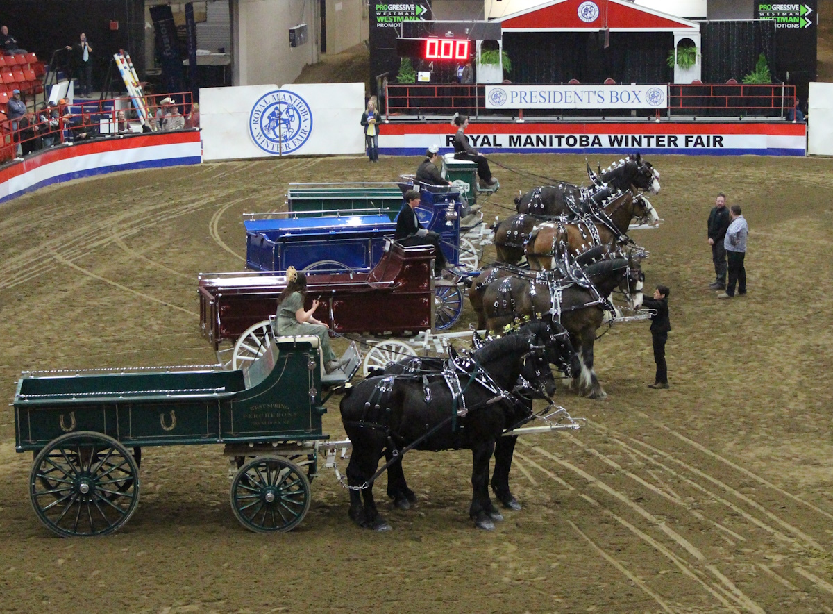 Spring Break Starts at the Fair: Royal Manitoba Winter Fair returns to ...