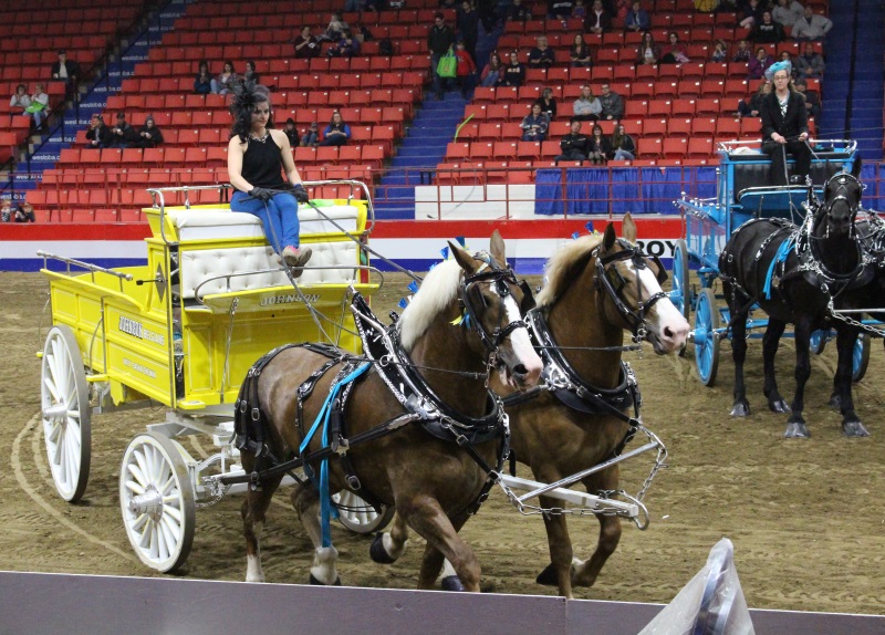 Spring Break Starts at the Fair: Royal Manitoba Winter Fair returns to ...