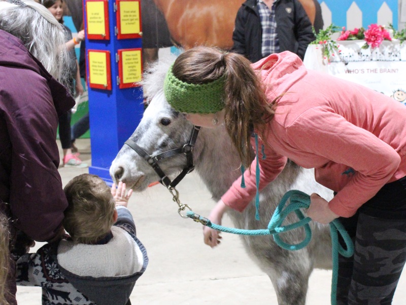 Spring Break Starts at the Fair: Royal Manitoba Winter Fair returns to ...
