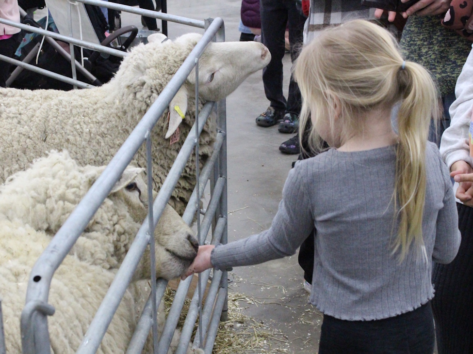 Spring Break Starts at the Fair: Royal Manitoba Winter Fair returns to ...