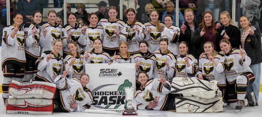 WATCH: Ice Hawks bring SJFHL banner to Outlook - WestCentralOnline ...