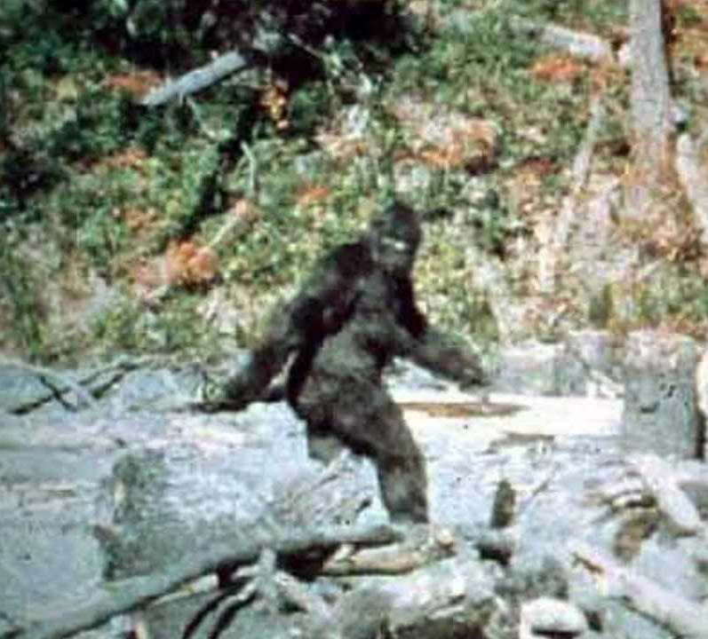 Bigfoot in Alberta? Local Sasquatch sightings aren’t as rare as you ...