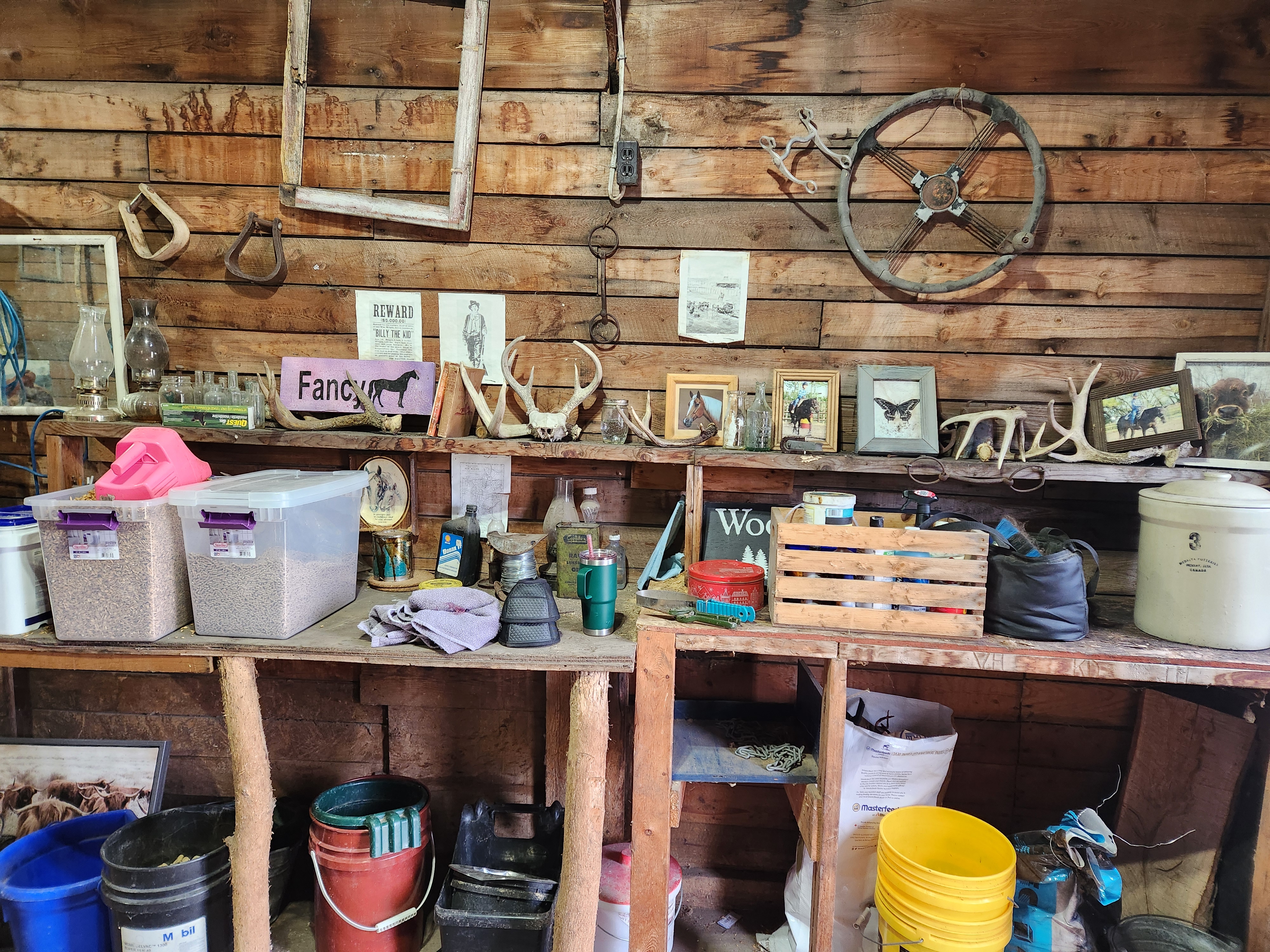 Moon Ranch lessons build confidence through horses - PortageOnline.com ...