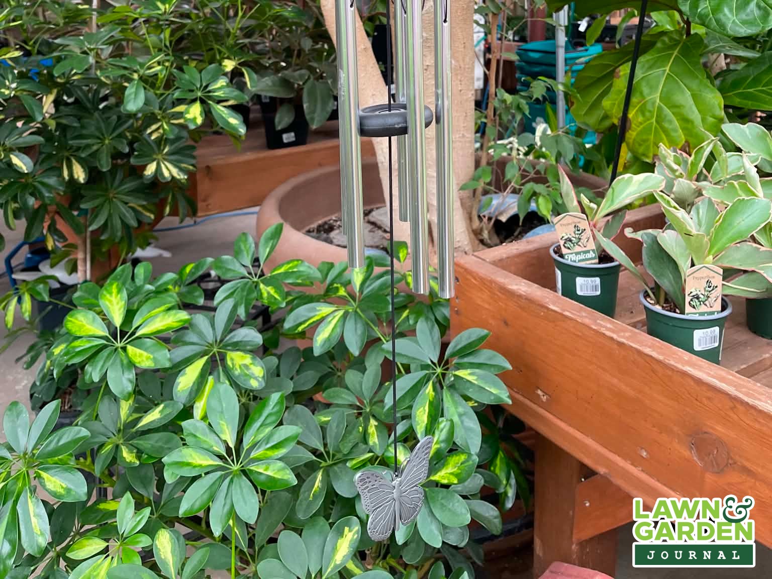 Carla Hrycyna & Chris Sumner dove into the mailbag on the Email Edition ...