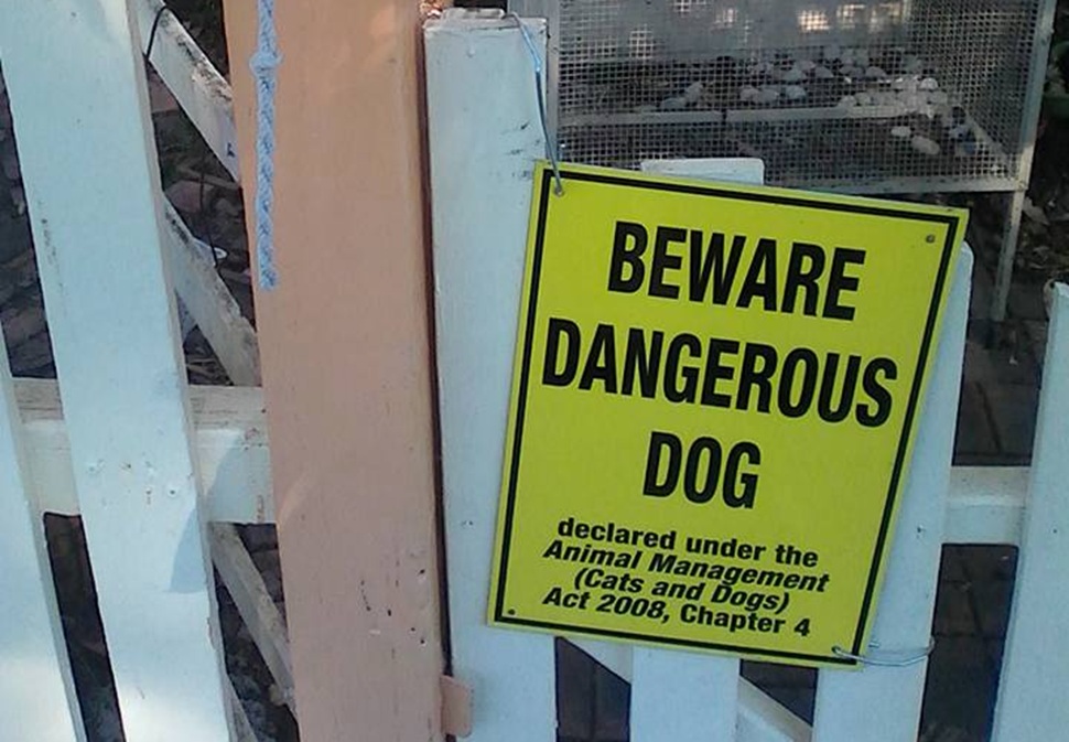 Dangerous dogs declared after repeated incidents in Unity court ...