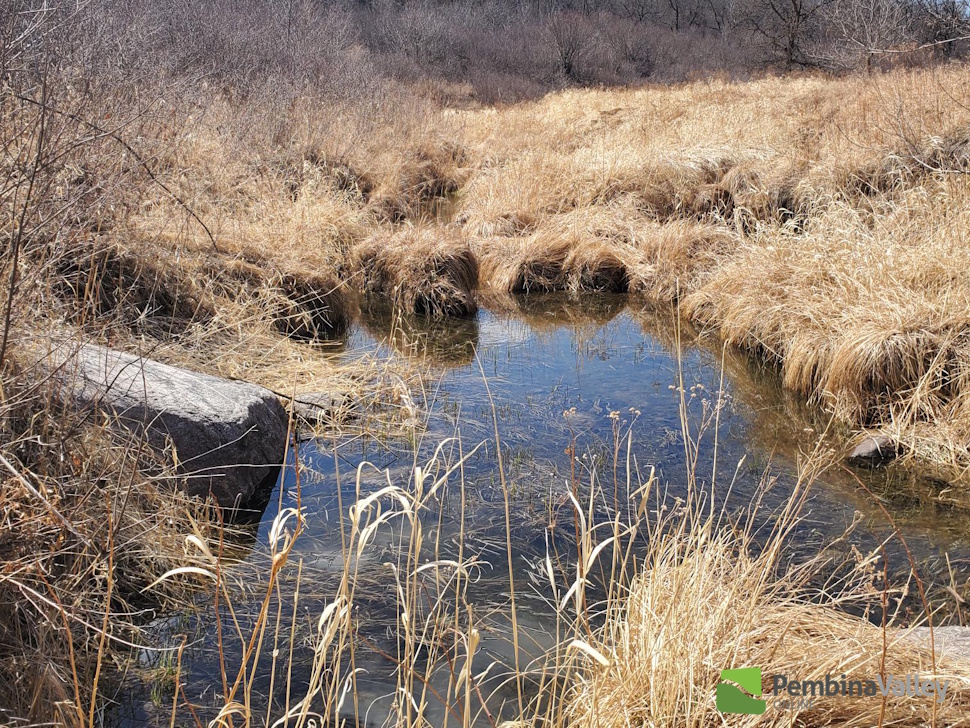 Earth Day event to offer glimpse of Pembina Valley’s native landscape ...