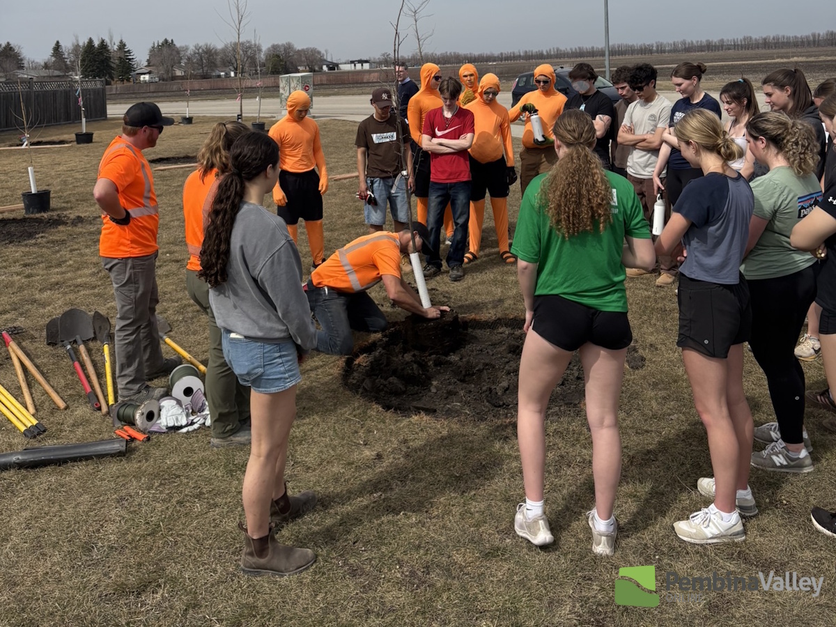 Morden Collegiate students recognize Earth Day by planting trees with ...