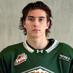 Series shift in WHL Playoffs - DiscoverHumboldt.com - Local news ...