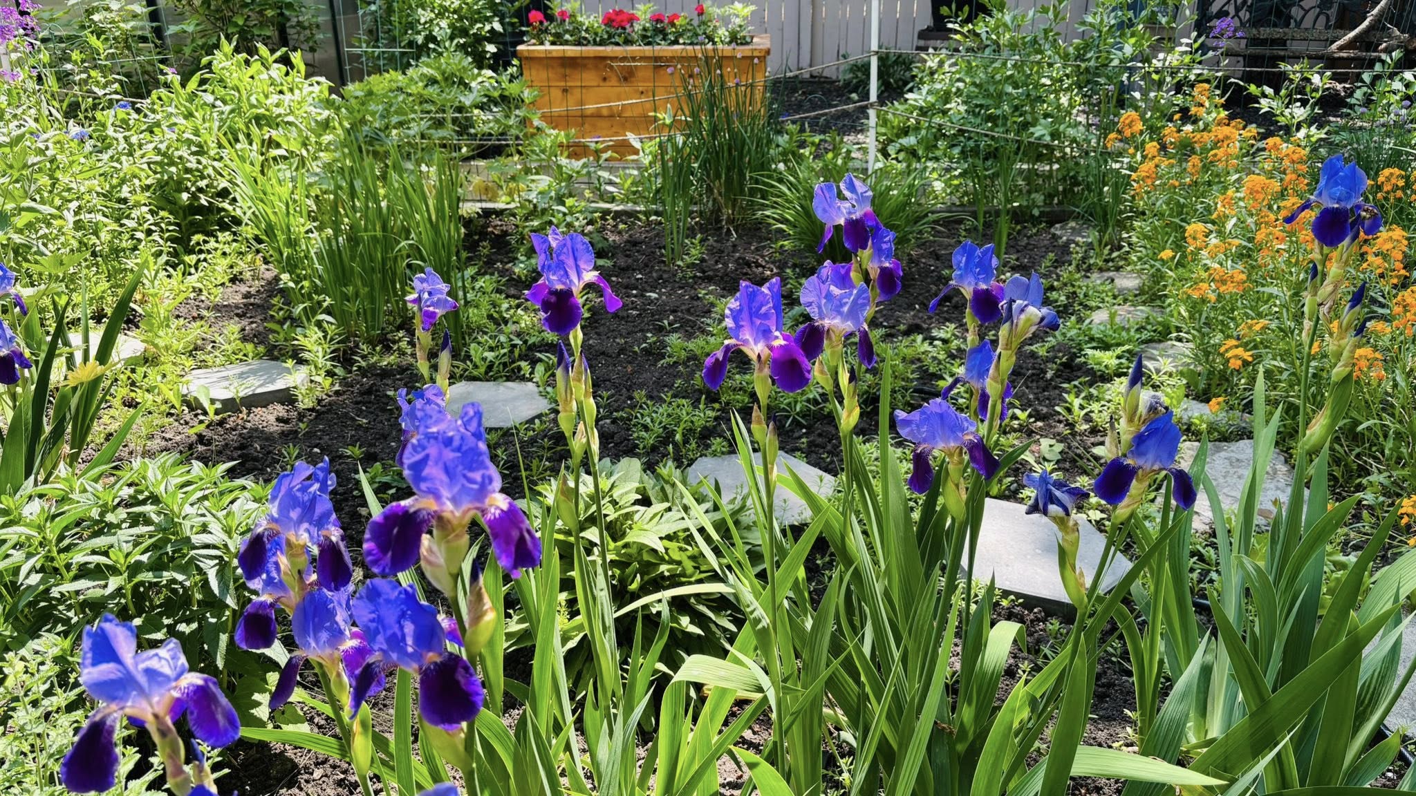 Weather Network reveals what Alberta can expect this summer ...