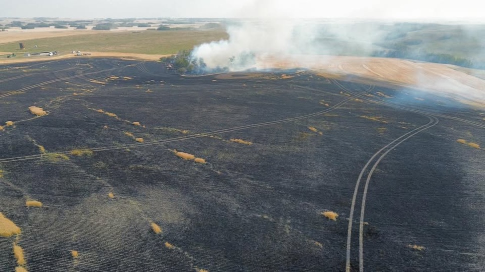 Field fire near Macklin prompts mutual aid response as fire risk rises ...