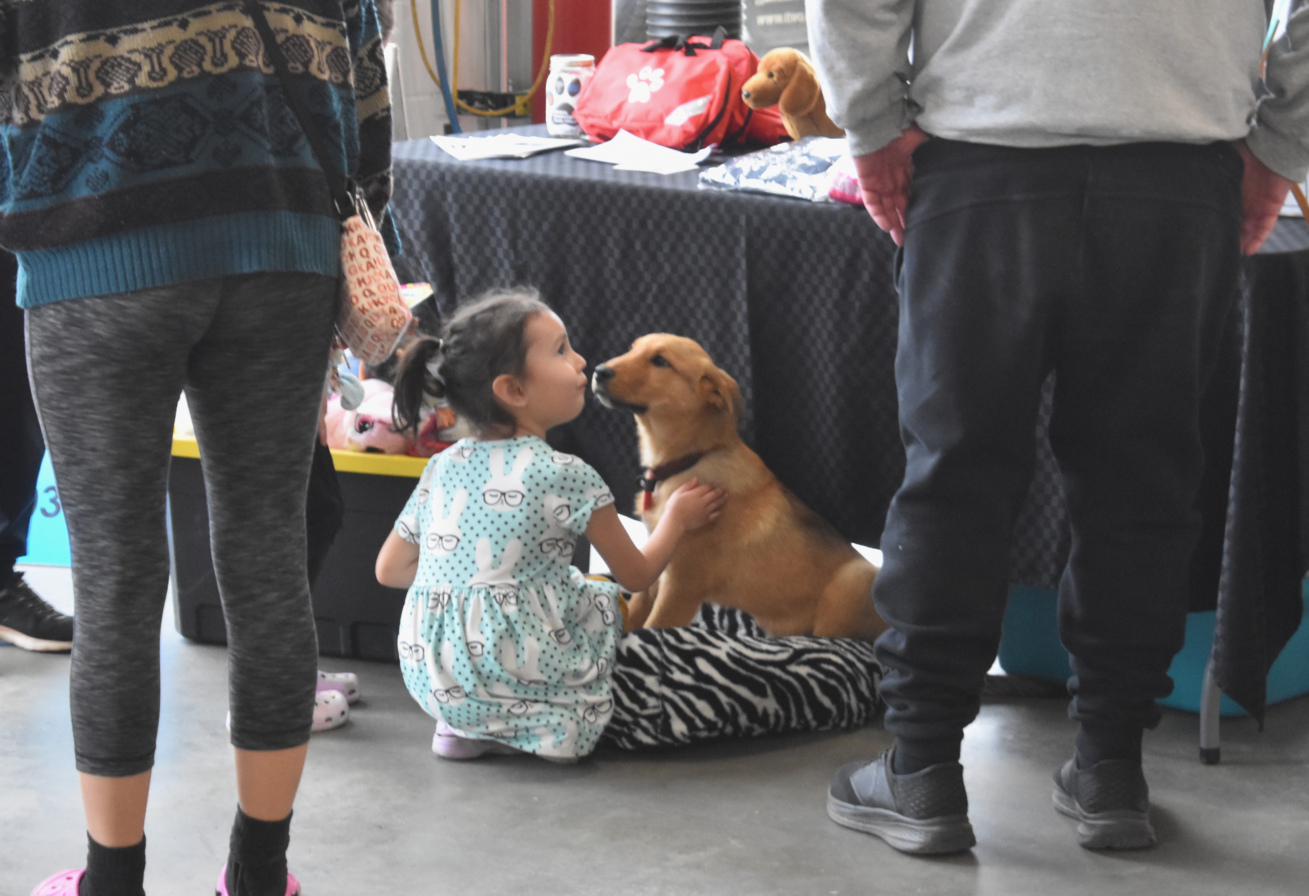High River emergency preparedness open house shines through cloudy ...