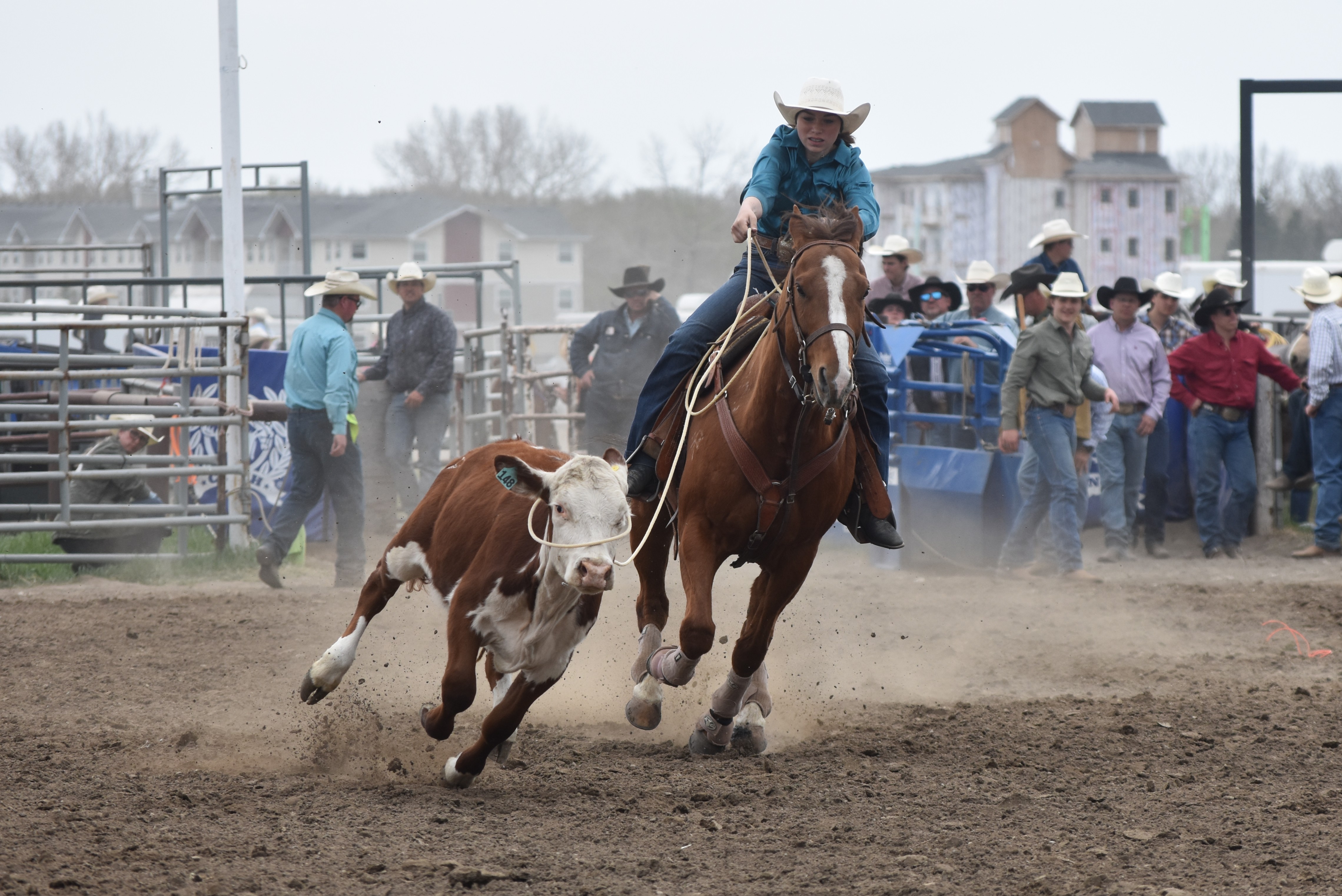 High school students saddle up at High River Rodeo - HighRiverOnline ...