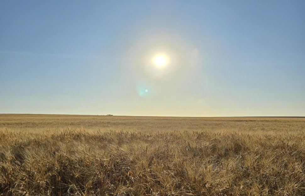 Heat warning issued for third day in a row - SwiftCurrentOnline.com ...