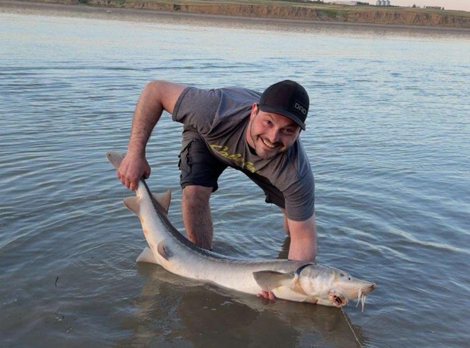 “Like pulling a boat in”: Sturgeon run drawing local anglers in for big ...