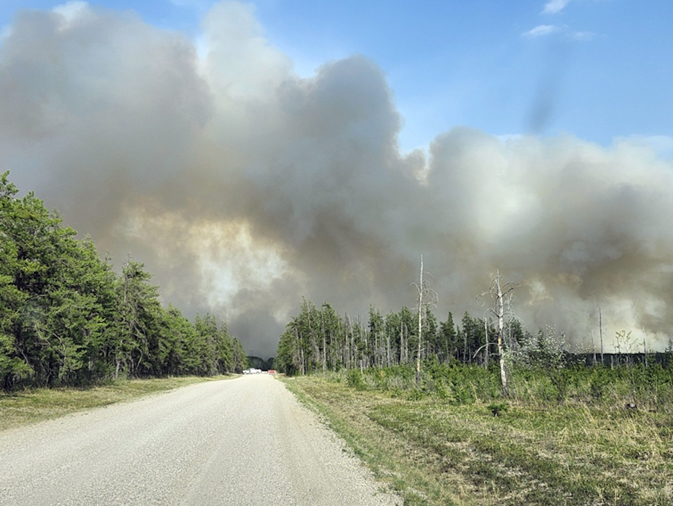 Piney braces for wildfire season with focus on prevention and planning ...