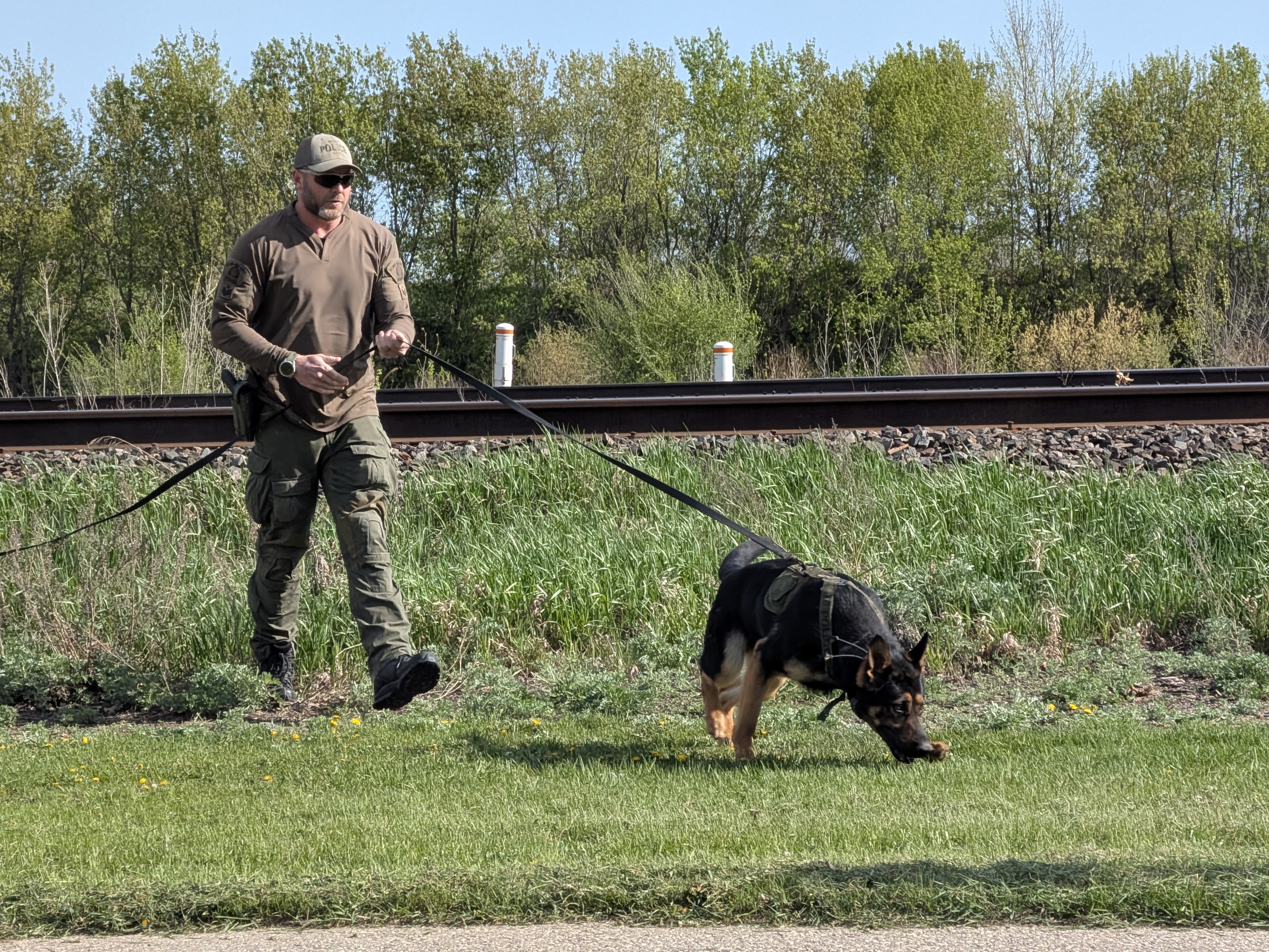 Search activity with dog spotted near Fisher Avenue and 13th Street NW ...