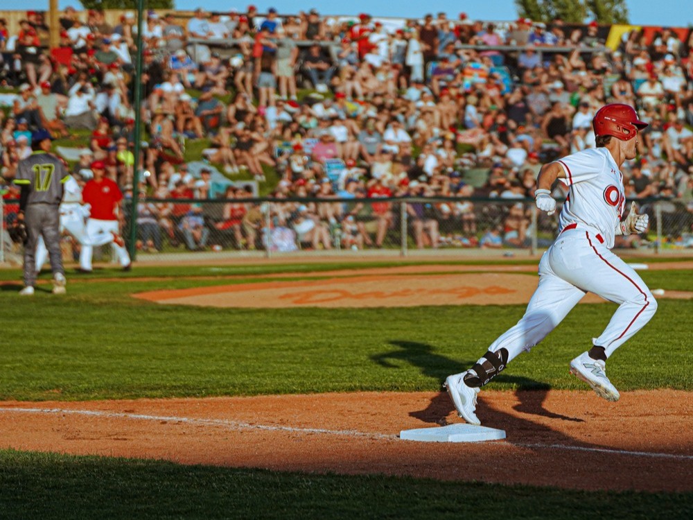 Dawgs strengthen outfield lineup with new talents - HighRiverOnline.com ...