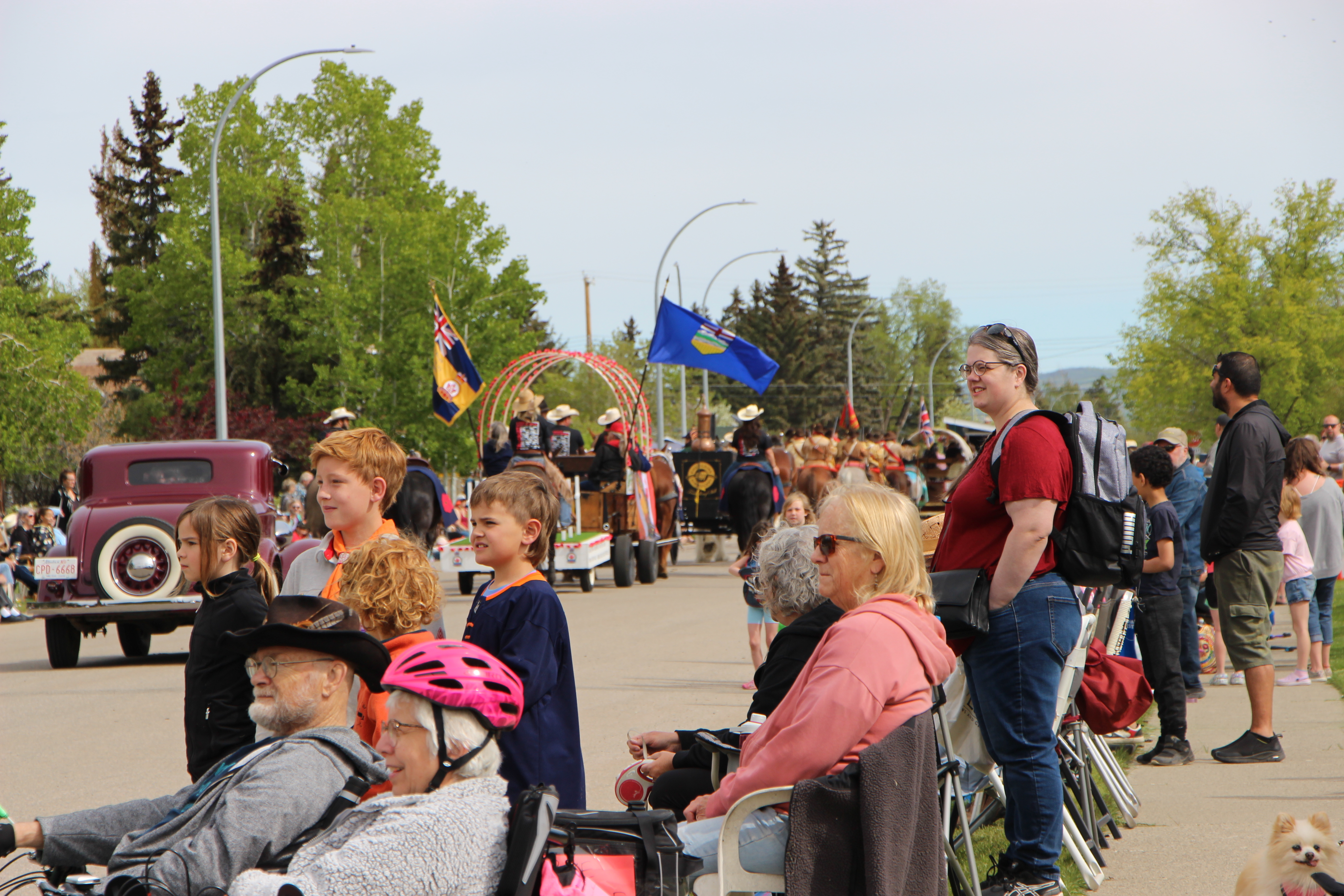 Diamond Valley Parade & Festival returns with family fun for all ...