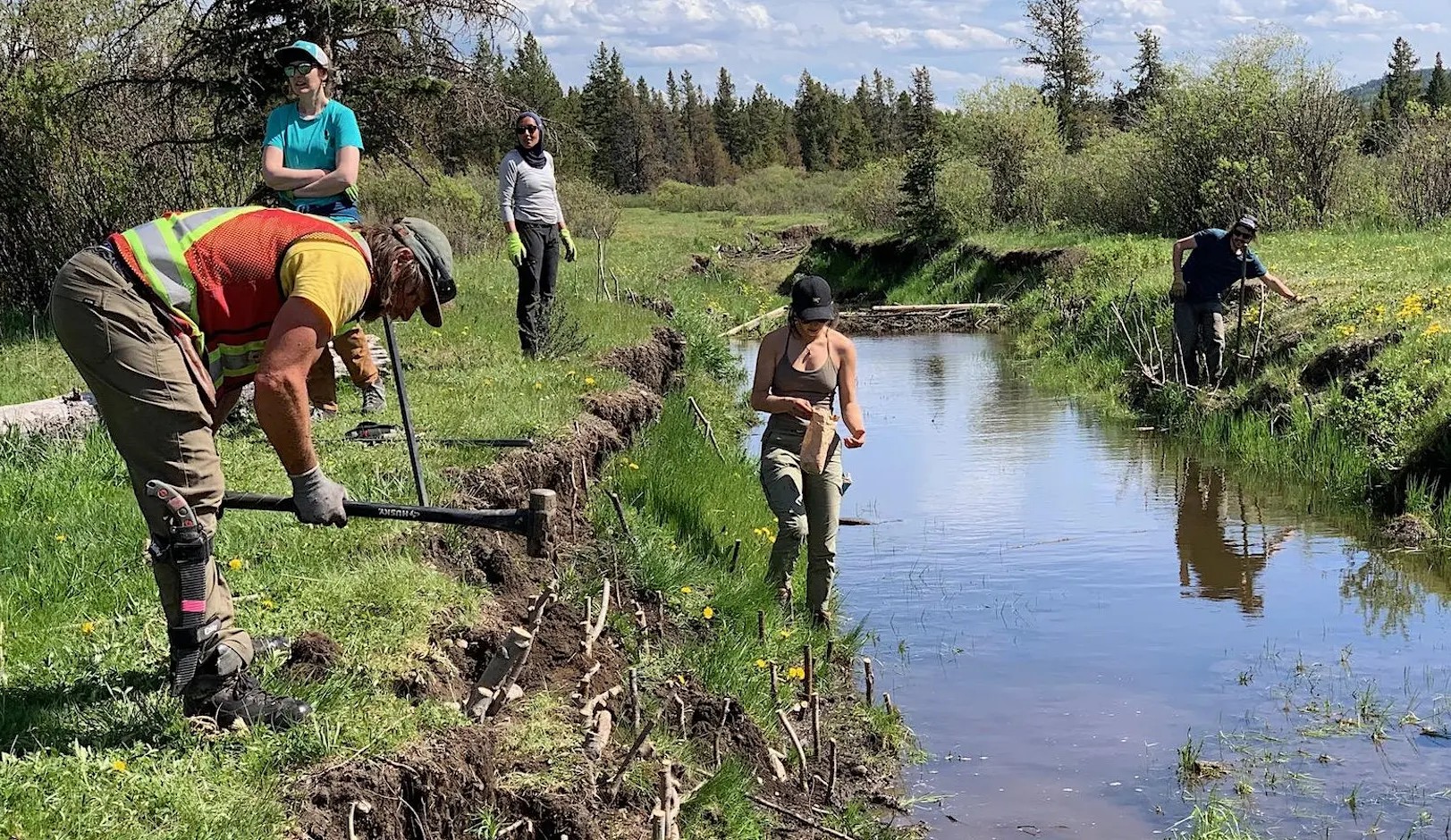 Ghost Watershed hosting bio-engineering field workshops in Waiparous ...