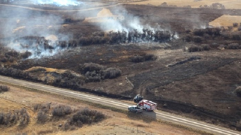 Communities urged to take action for Wildfire Community Preparedness ...