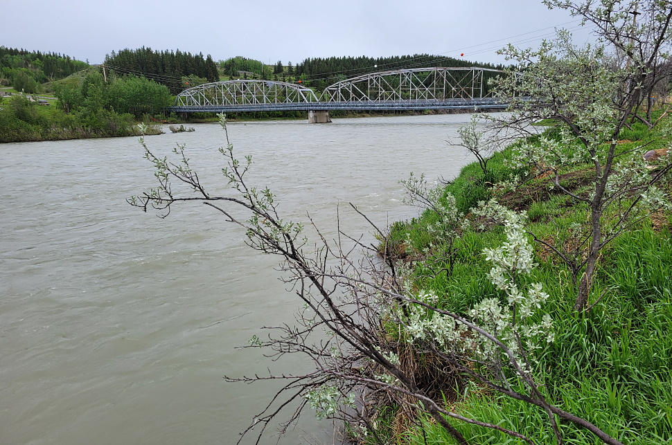 RCMP warn Cochranites to stay away from rising Bow River - CochraneNow ...