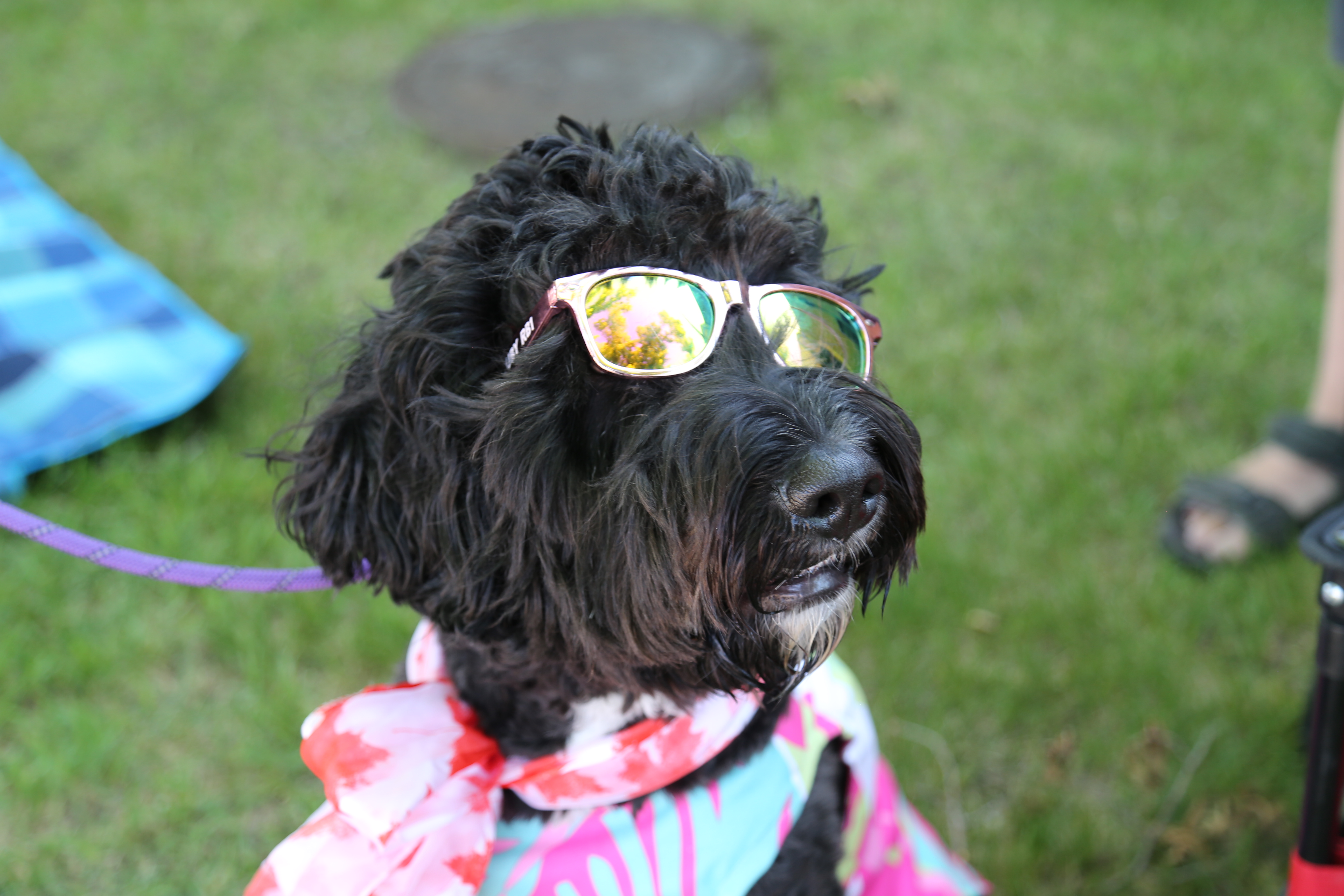 What we know about Airdrie’s Canada Day forecast — and what’s coming ...