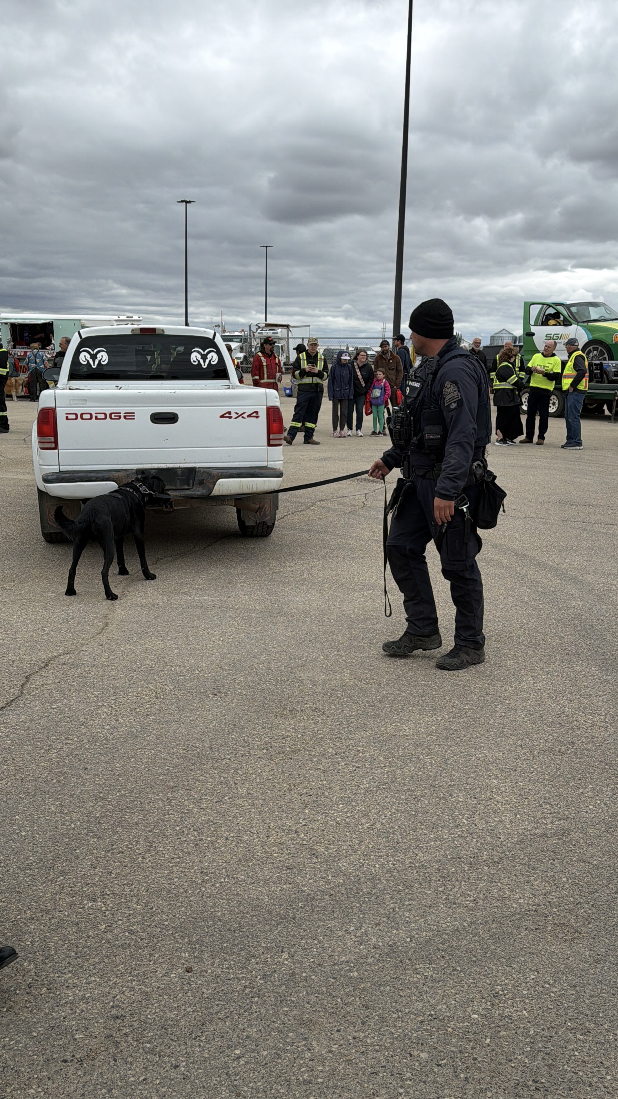 Demonstrations and donations highlight SGI's Slow Down to 60 event in ...
