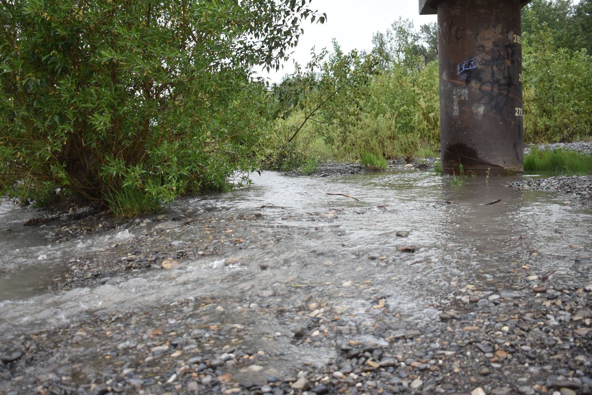 Afternoon update on Highwood River and Sheep River flow rates ...