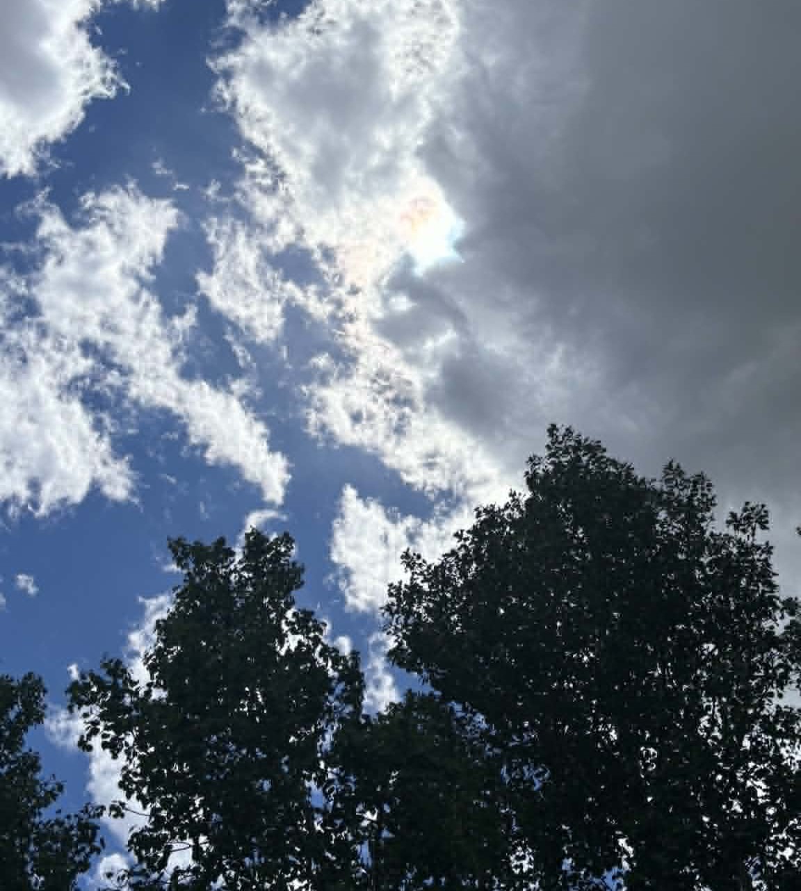 Another summer outlook is out: Here’s how Alberta forecasts compare ...