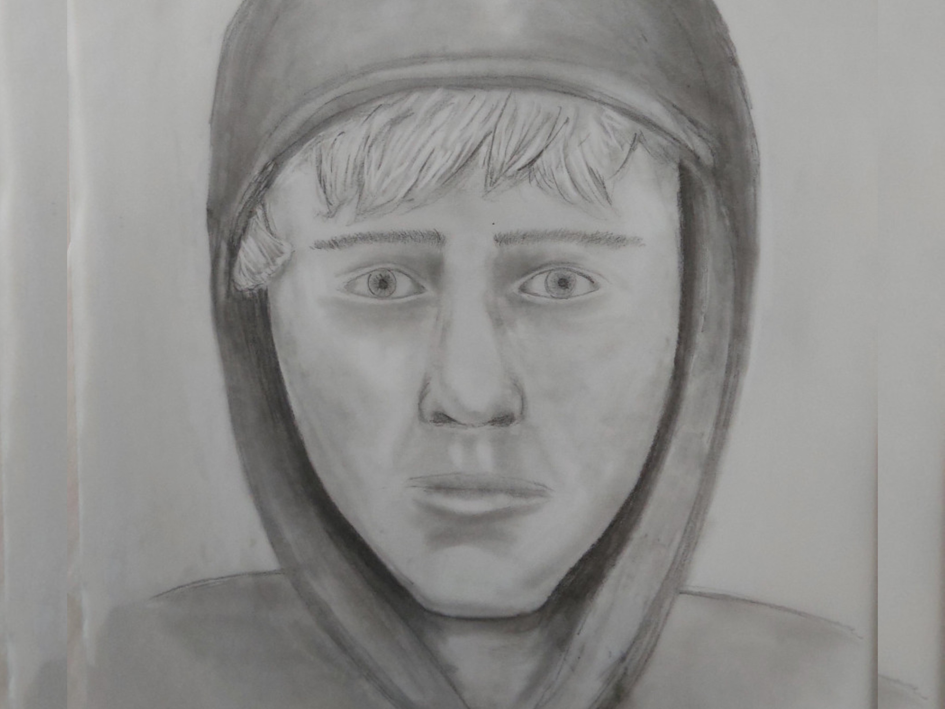 Calgary police release sketch of suspect in Fish Creek Park sexual ...