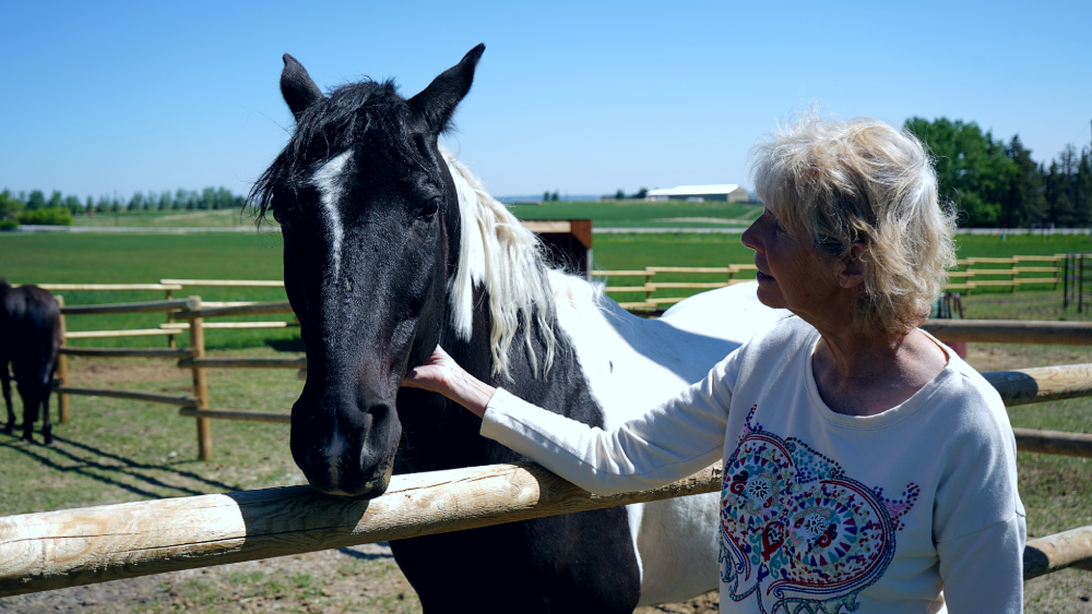 Spring market returns Saturday to support rescued horses near Okotoks ...