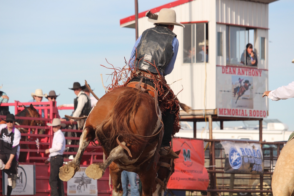 41st Annual Dean Anthony Memorial Rodeo brings tradition to Mankota ...