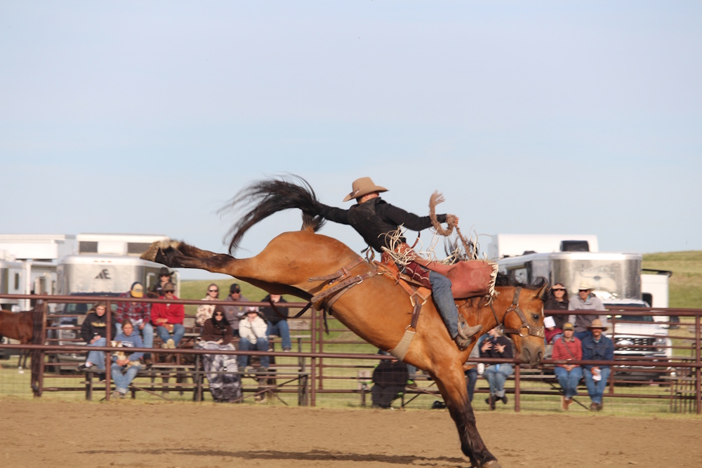Local competitors stack results at Mankota and Lancer rodeos ...