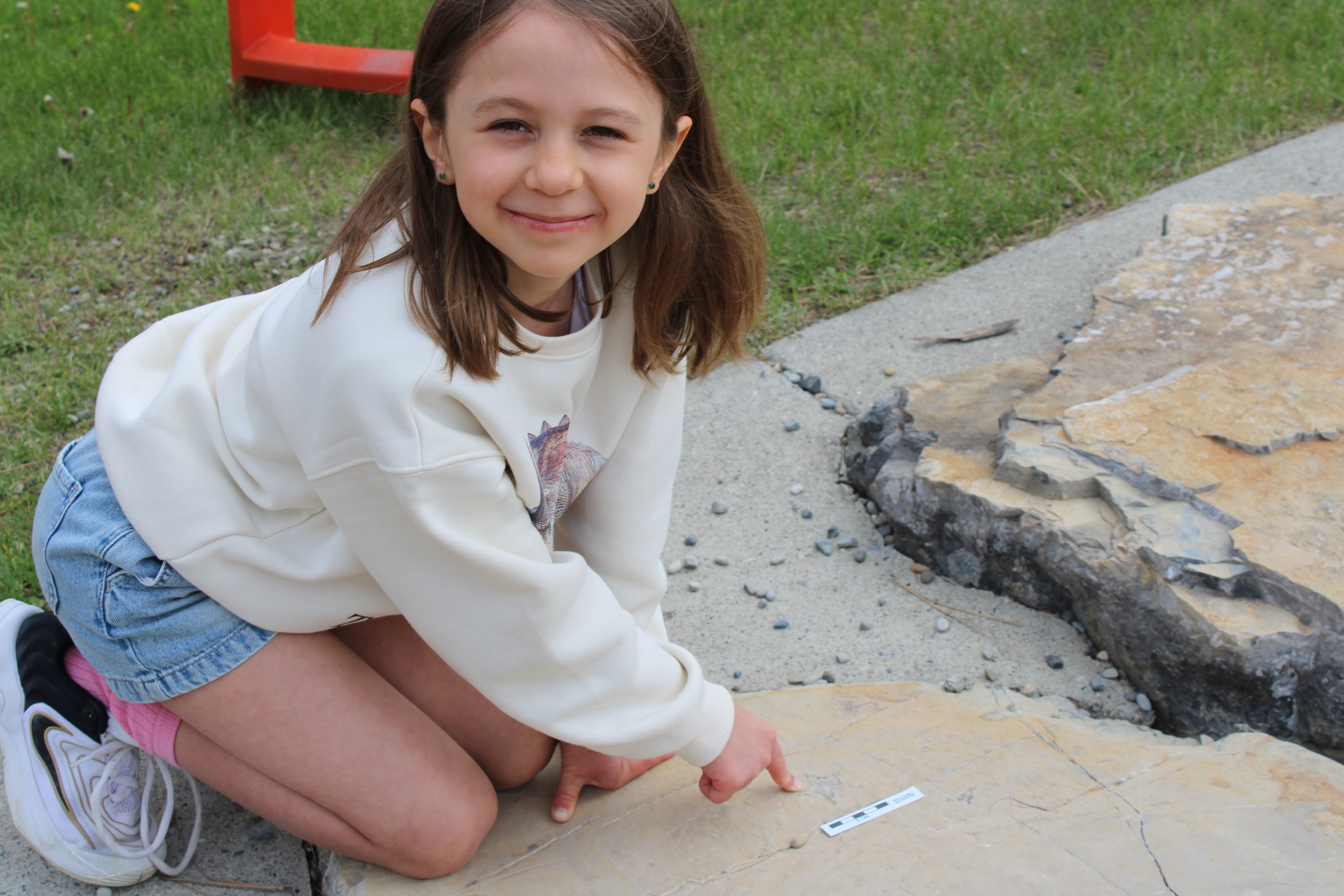 Calgary girl’s playground discovery turns out to be rare fossil ...
